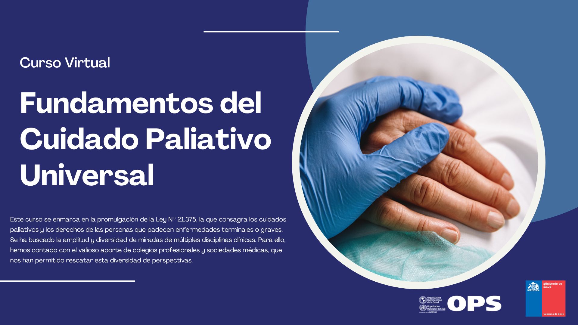 Resultados de la búsqueda | Aula Virtual CVSP-Países